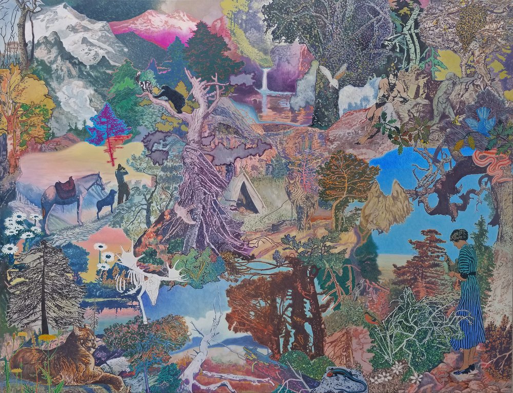 Ecofeminismo de Val Plumwood: solidaridad política frente a la crisis ecológica - Revista Endémico