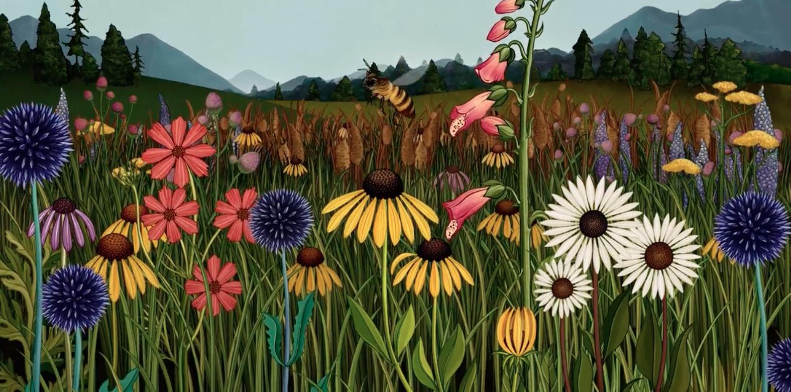 Historia de Flores: una animación botánica - Revista Endémico