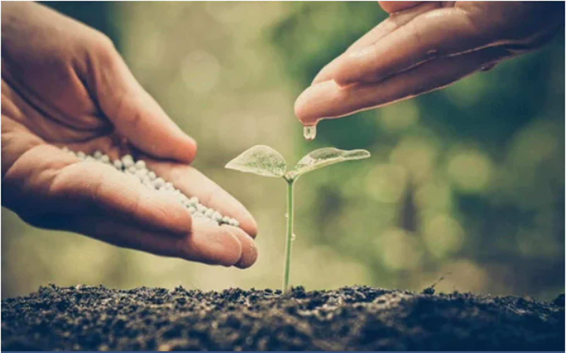 Los Orígenes Del Valor Medio Ambiental Revista Endémico
