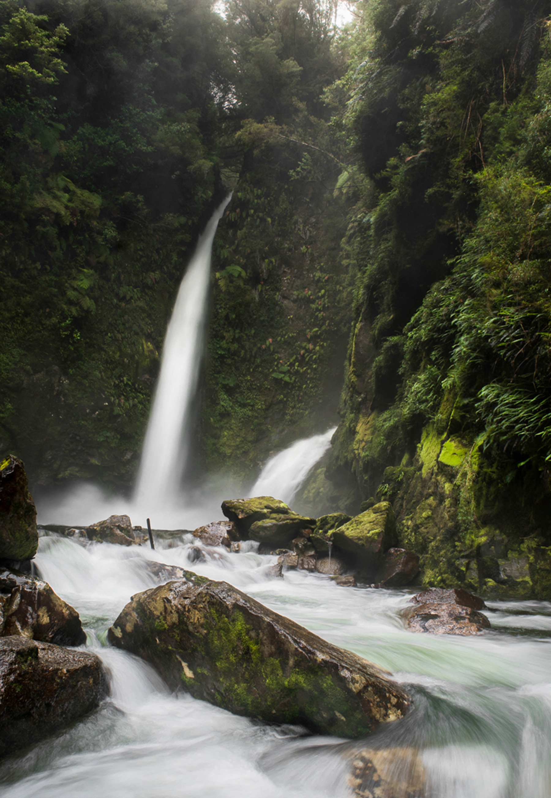 Cascadas, un Ecosistema en Movimiento - Revista Endémico
