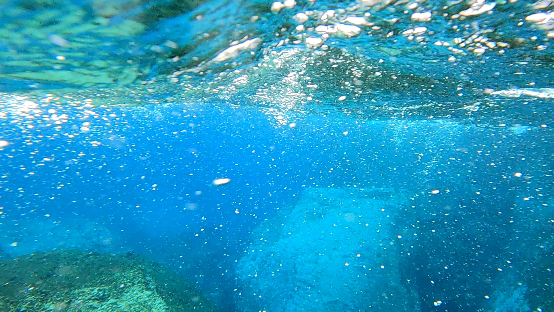 Un río tejido que rompe las fronteras de arte y ciencia - Revista Endémico