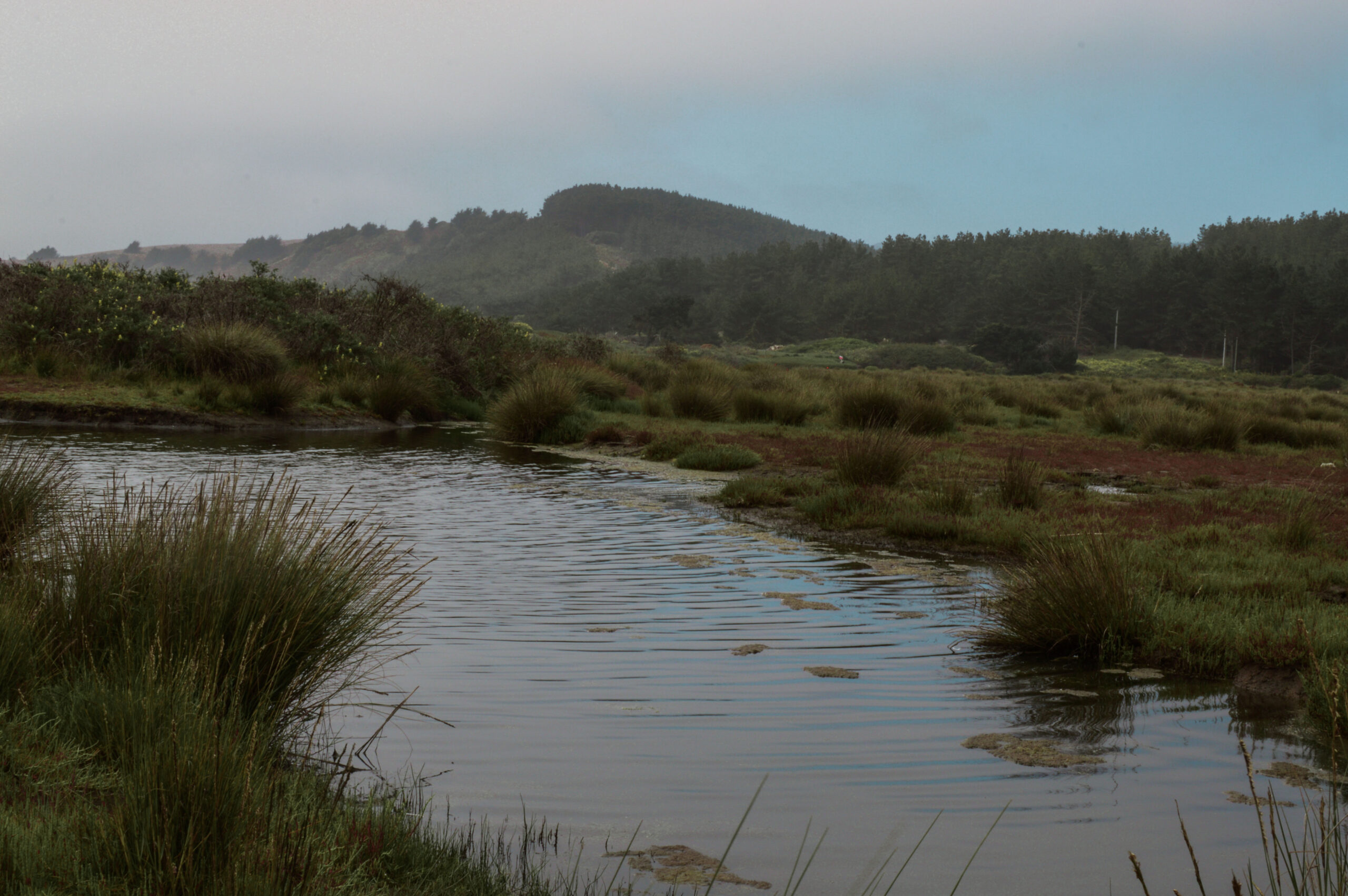 De la costa al campo: recorrido por las aguas de un humedal en el ...