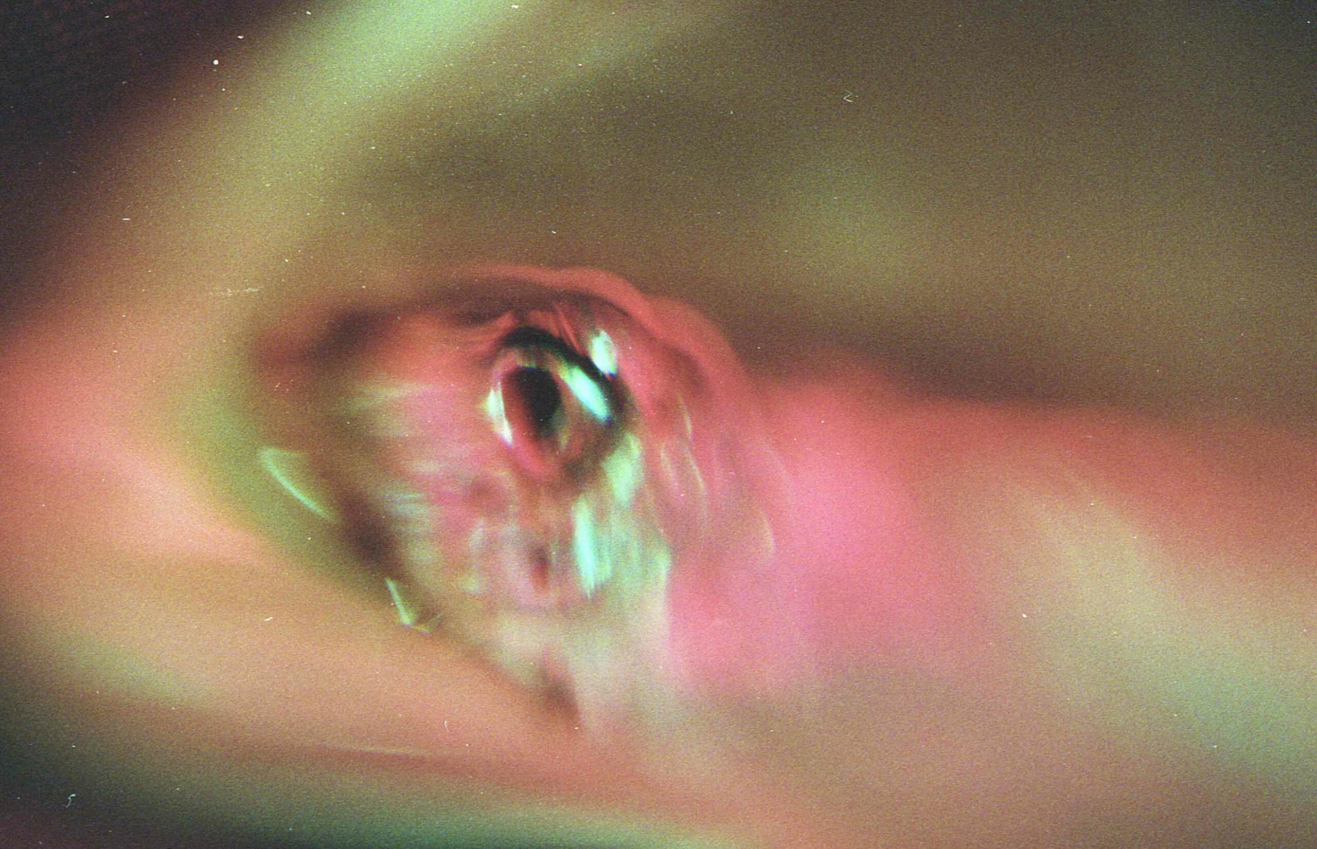 Conectar con microbios, conectar con la propia existencia: apuntes ...